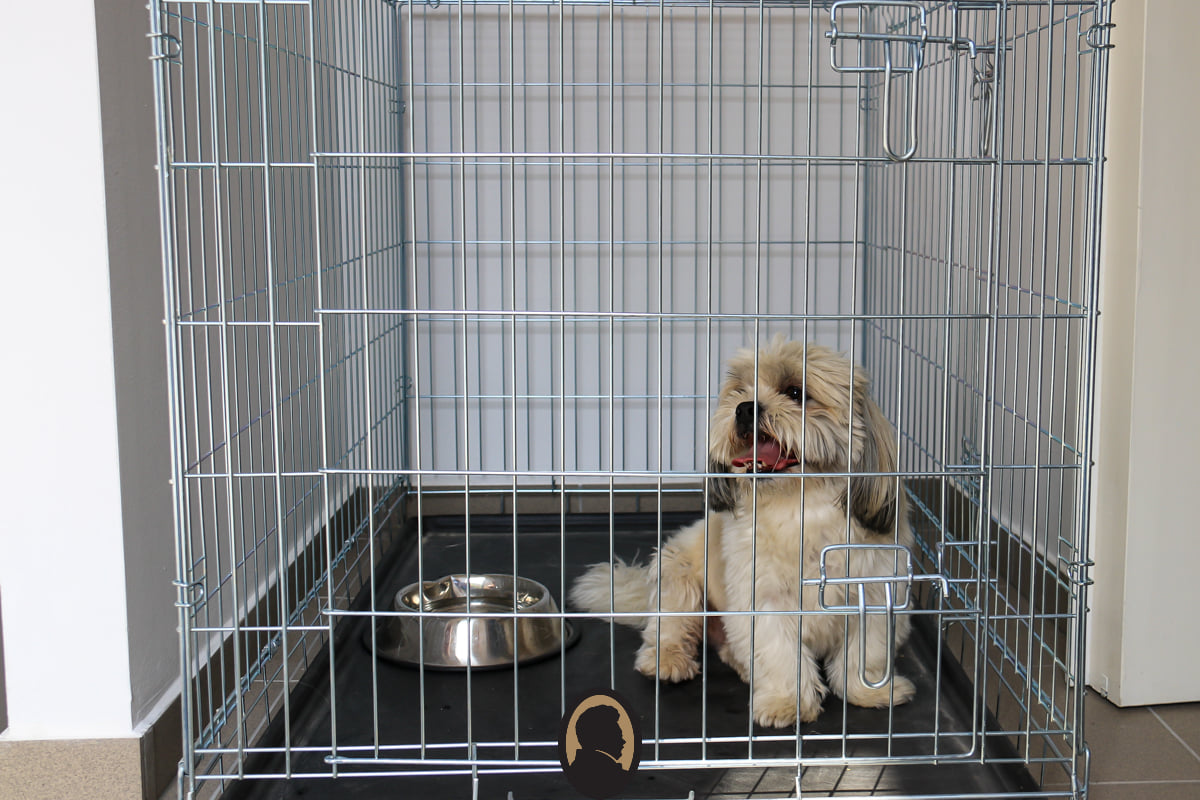 Dog Kennel - Gyulai vár